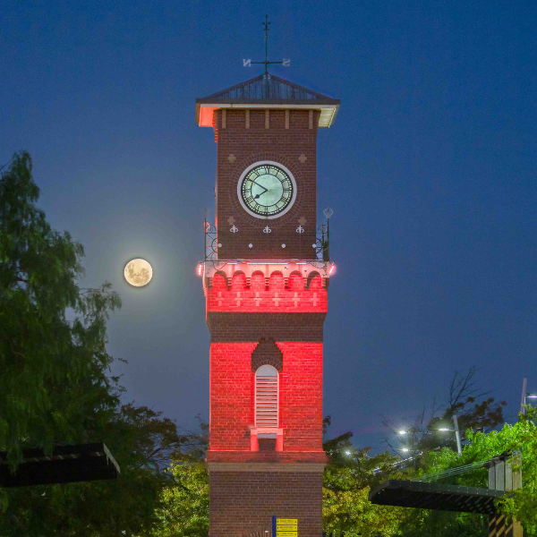 Discover Sale - Sale Business & Tourism Association